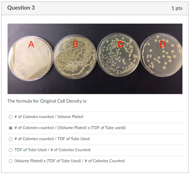 Solved Question 3 1 pts A The formula for Original Cell | Chegg.com