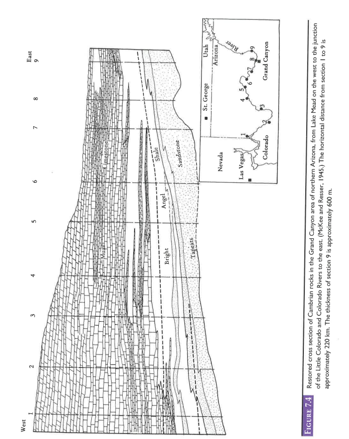 Solved Colorado Grand Canyon Restored cross section of | Chegg.com