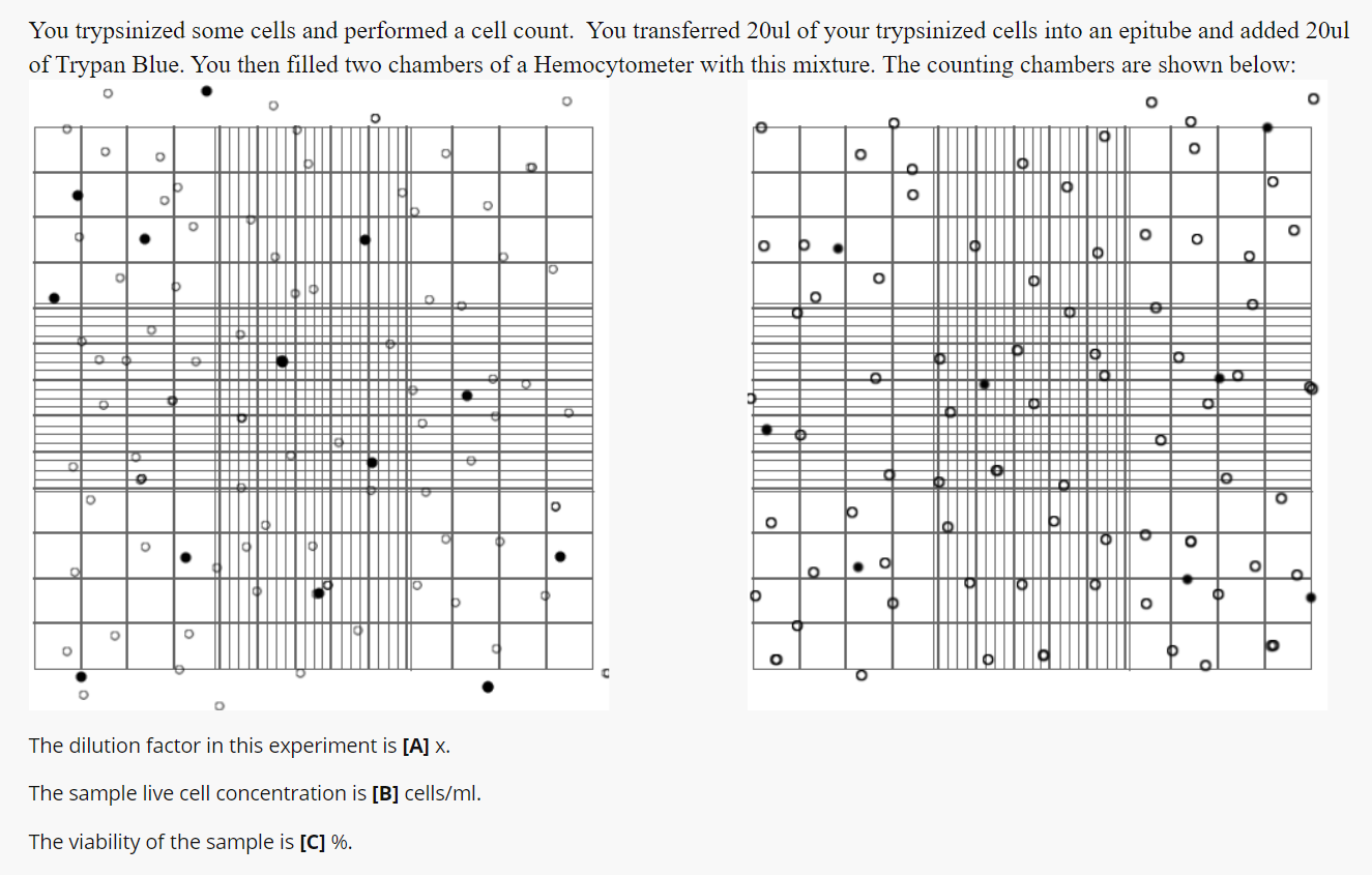 Solved You trypsinized some cells and performed a | Chegg.com