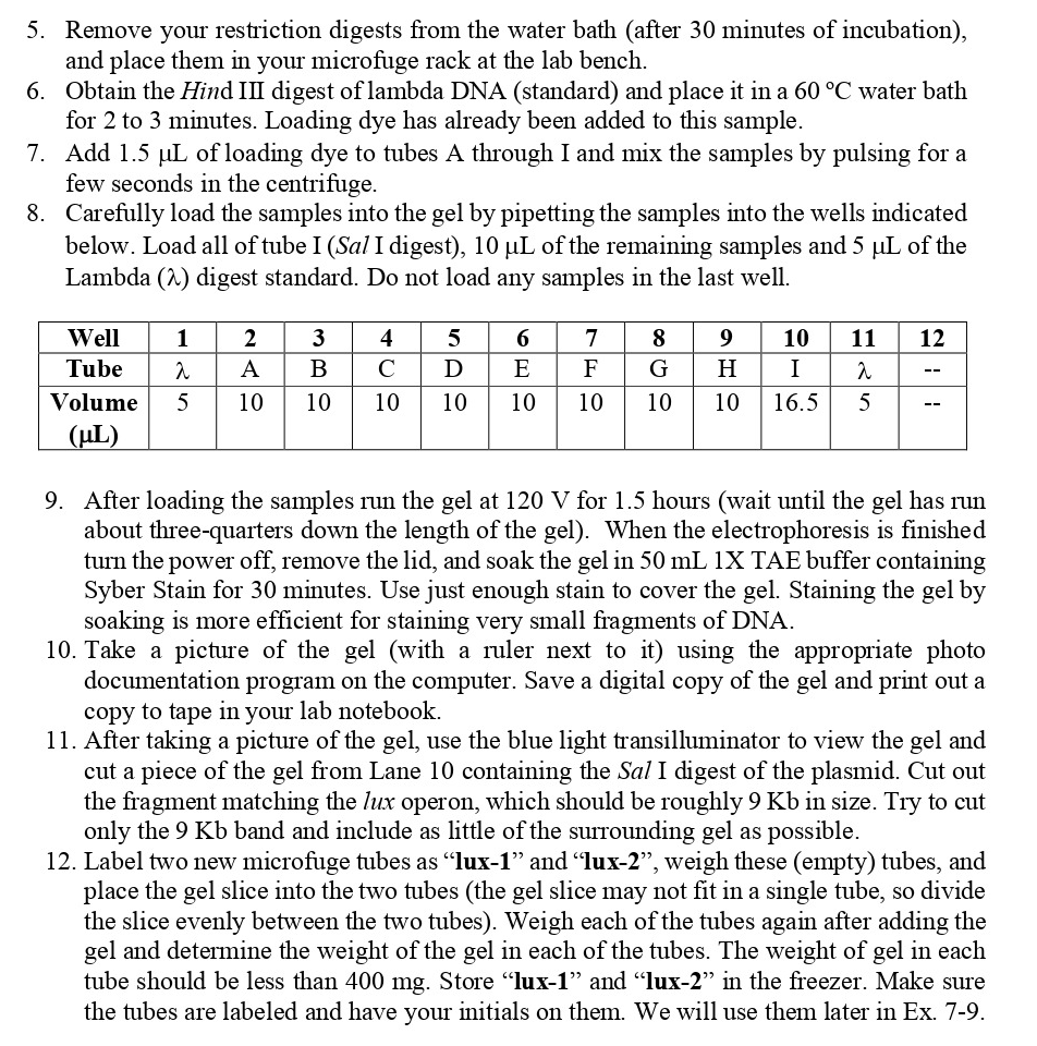 Solved What buffer should you use for your double digest | Chegg.com
