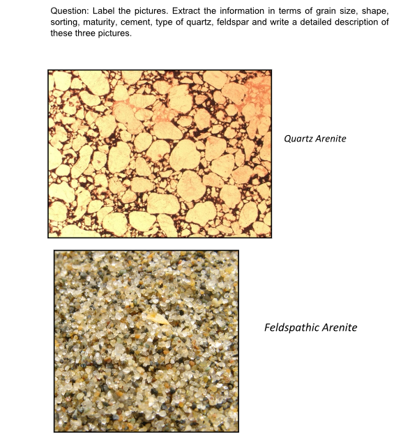 Solved Question: Label the pictures. Extract the information | Chegg.com