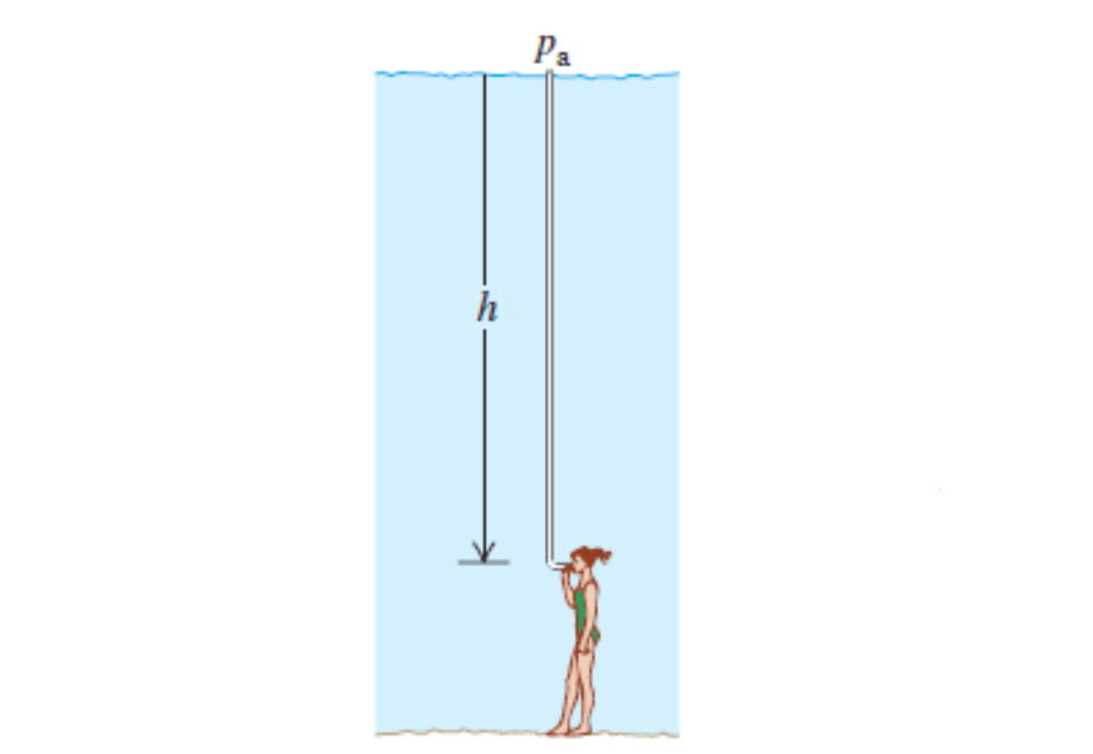 Solved here is a maximum depth at which a diver can breathe | Chegg.com