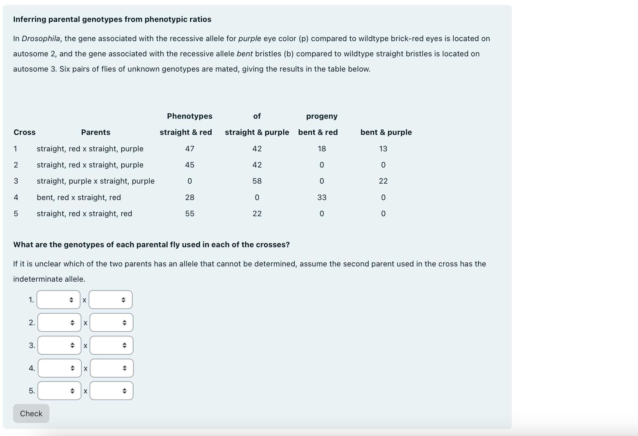 Solved Inferring parental genotypes from phenotypic ratios | Chegg.com
