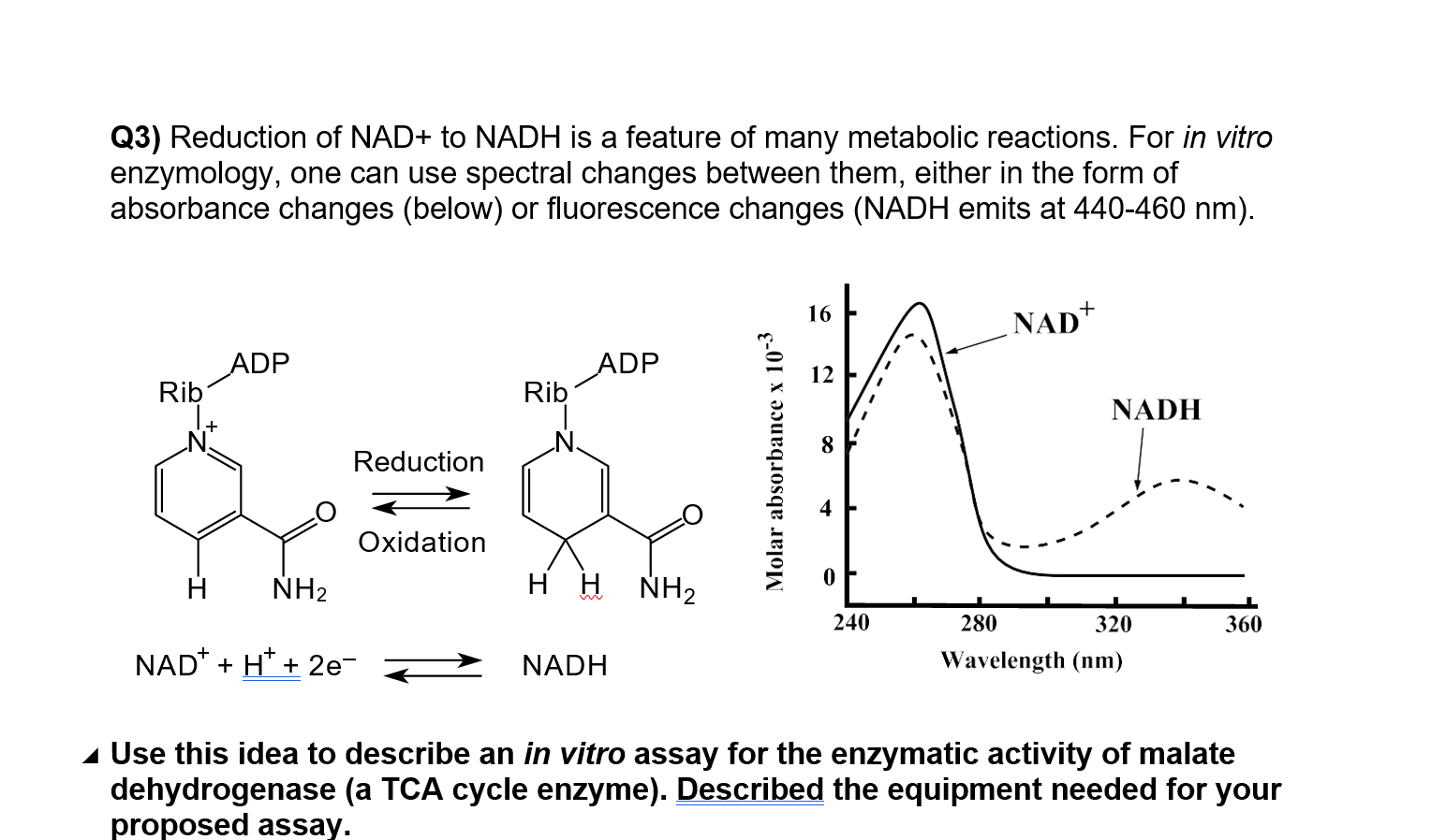Solved Q3) Reduction of NAD+ to NADH is a feature of many | Chegg.com