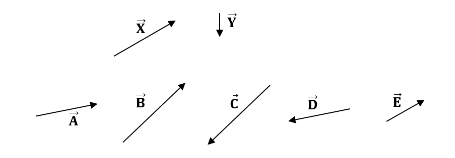 Solved 1. Given the two vectors labeled X and Y, which one | Chegg.com