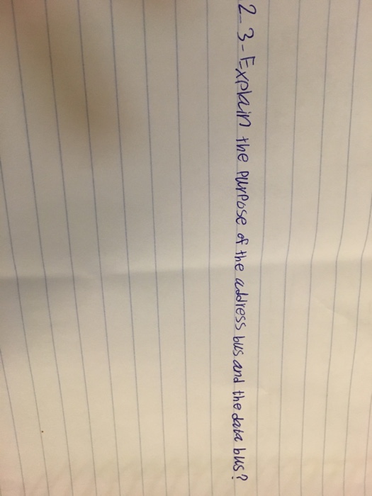 Solved Explain the purpose of the address bus and the data | Chegg.com