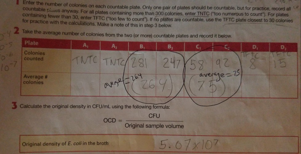 Enter the number of colonies on each countable plate. | Chegg.com