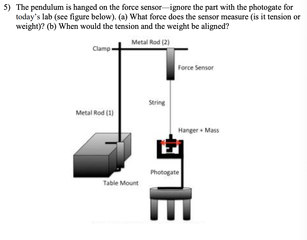 Solved 5) The pendulum is hanged on the force sensor-ignore | Chegg.com