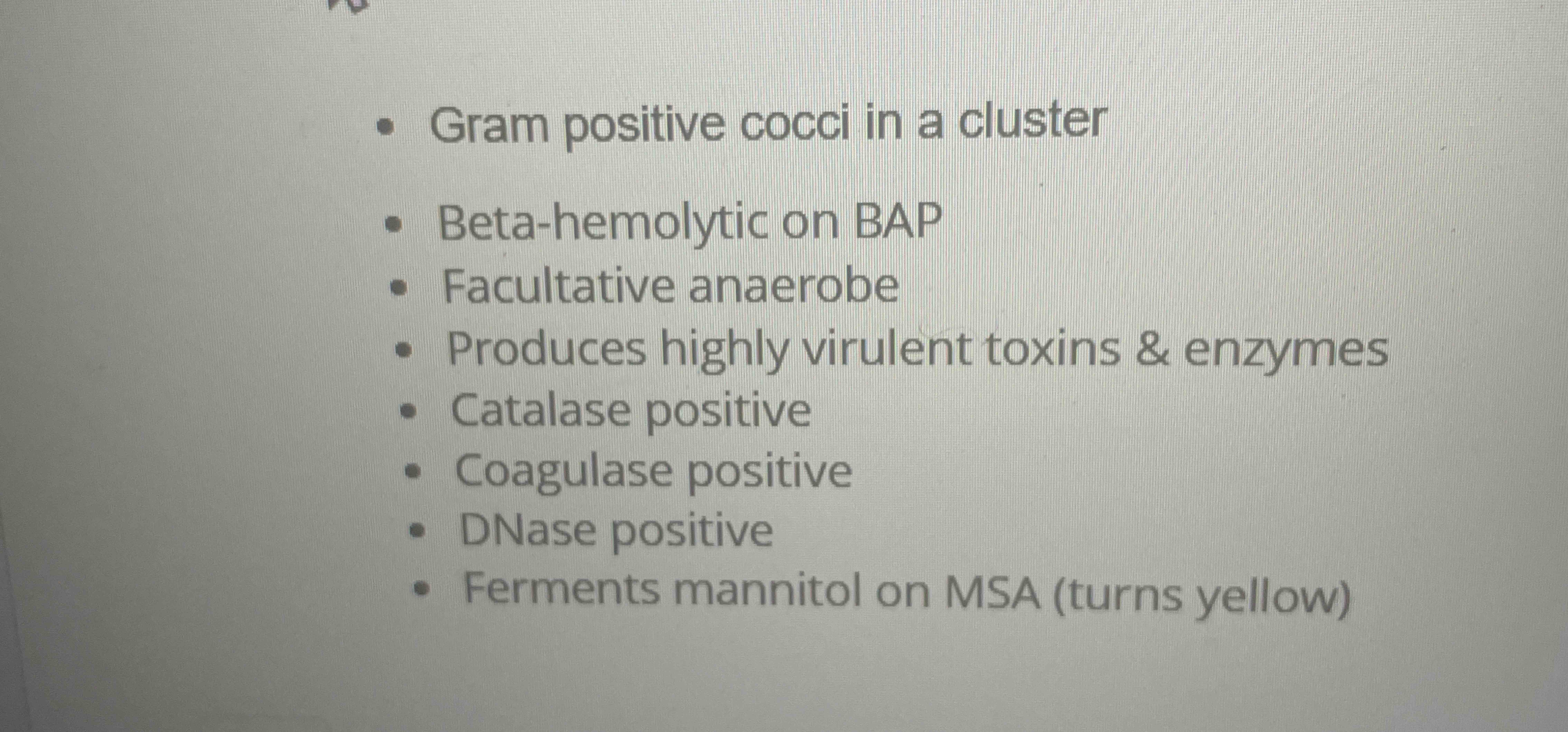 Solved - ﻿Gram positive cocci in a cluster- ﻿Beta-hemolytic | Chegg.com
