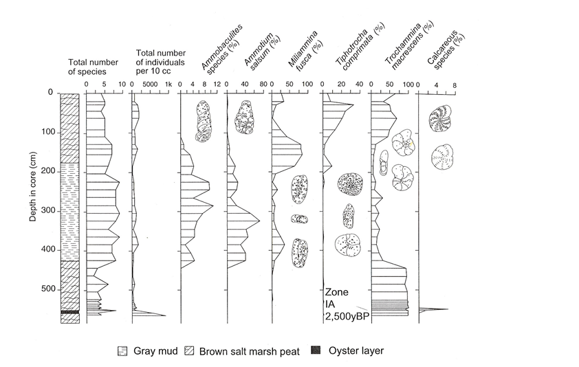 Solved by an EXPERT Q.7. ﻿a) ﻿Draw a relative sea level curve for the ...