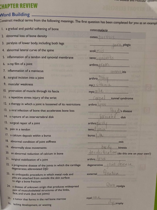 Solved CHAPTER REVIEW Word Building medical terms from the | Chegg.com