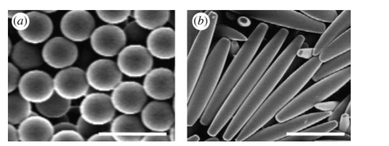 Solved An engineer redesigned a spherical shaped particles | Chegg.com