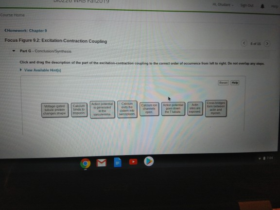 DIU2U WAD Edi 2019 Hi Oludare ou Course Home