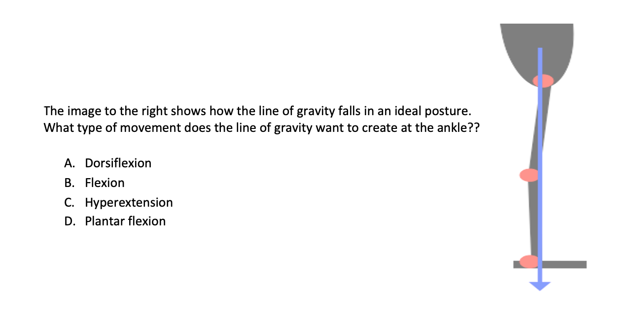 Solved The image to the right shows how the line of gravity | Chegg.com