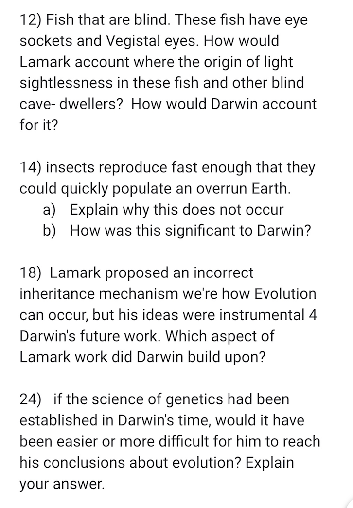 12) Fish that are blind. These fish have eye sockets | Chegg.com