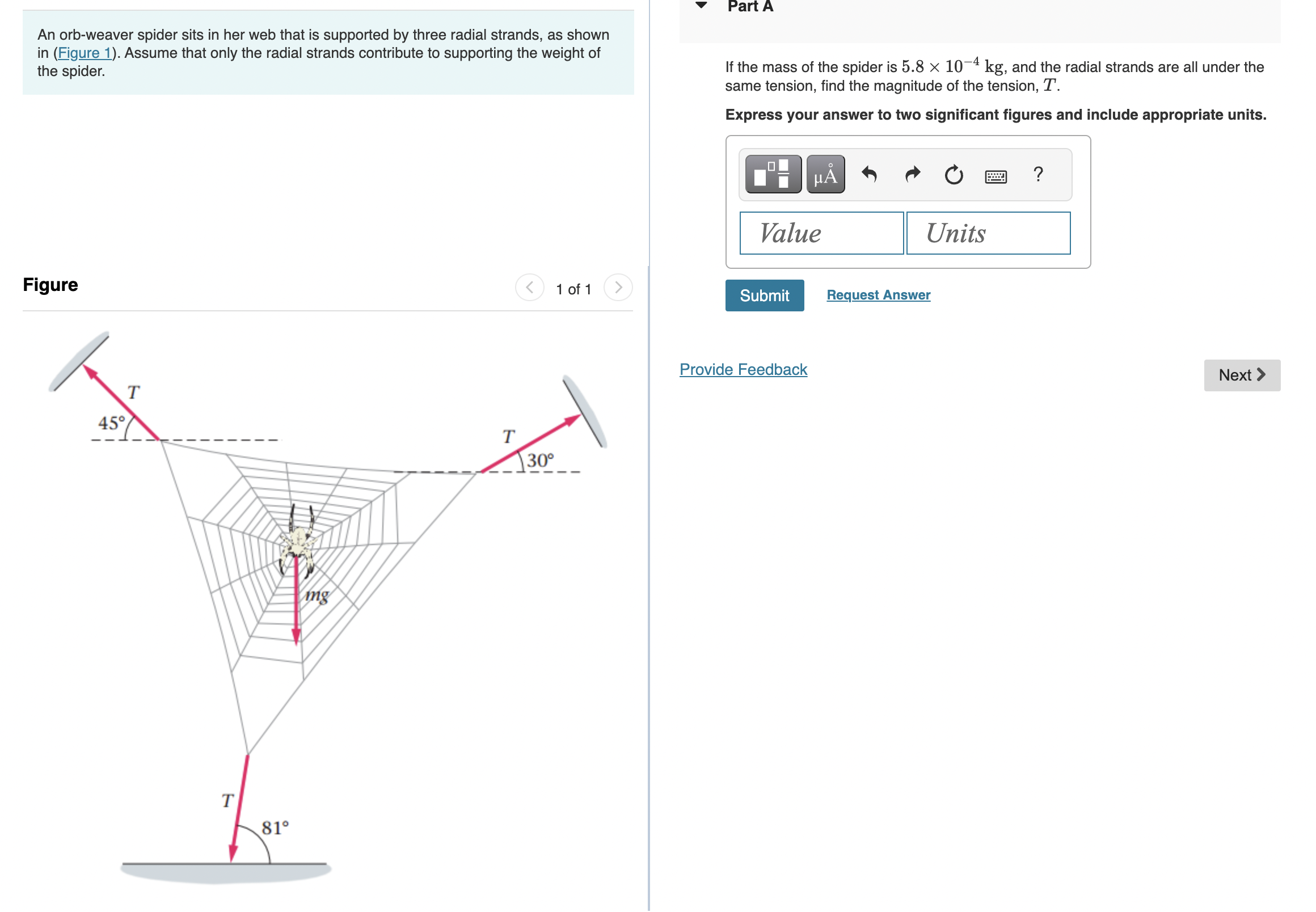 Solved An orb-weaver spider sits in her web that is | Chegg.com