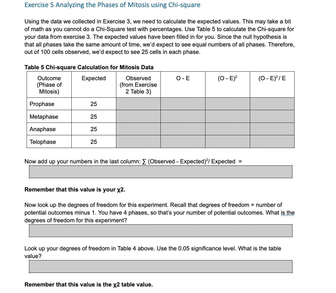 Exercise 5 Analyzing the Phases of Mitosis using | Chegg.com