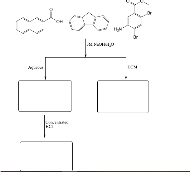 Solved Each compound was first dissolved in DCM (B) Draw | Chegg.com