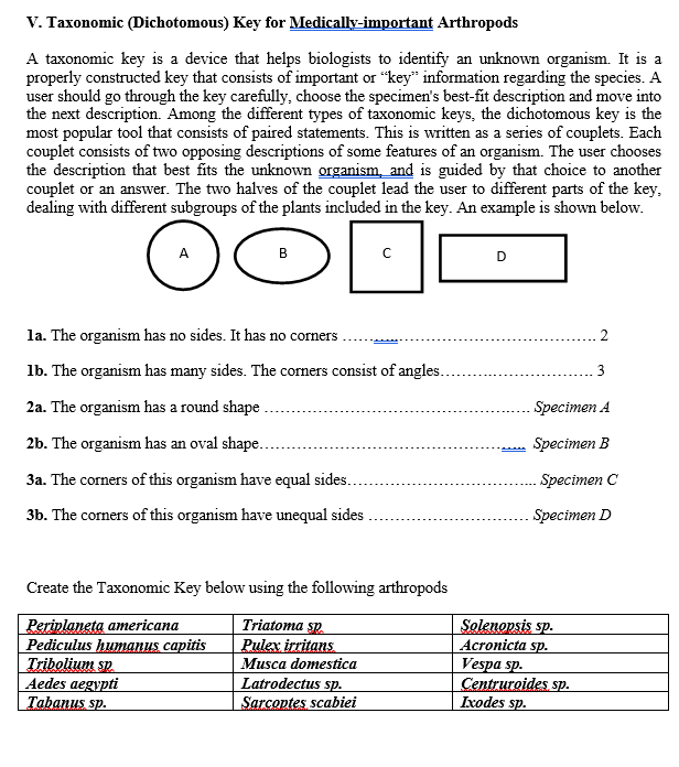 Solved V. ﻿Taxonomic (Dichotomous) ﻿Key for | Chegg.com