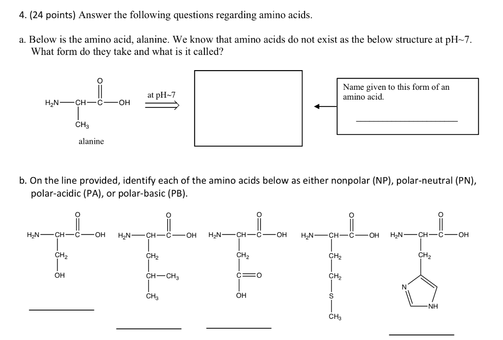 Solved 4. (24 points) Answer the following questions | Chegg.com