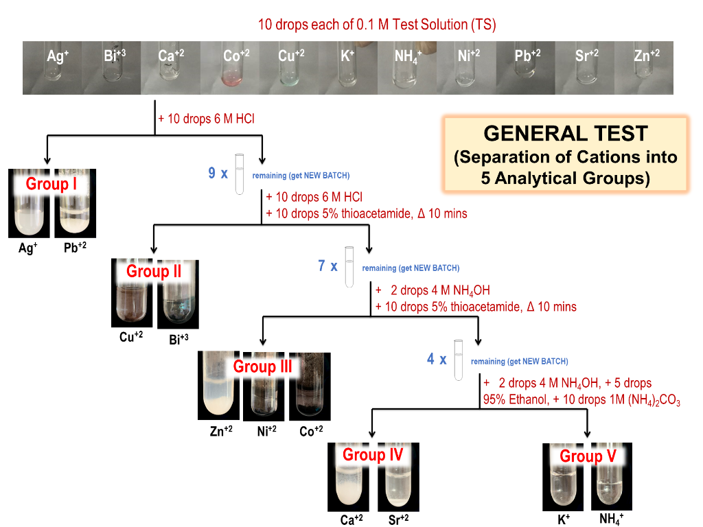 Solved From the figure shown below, describe the | Chegg.com
