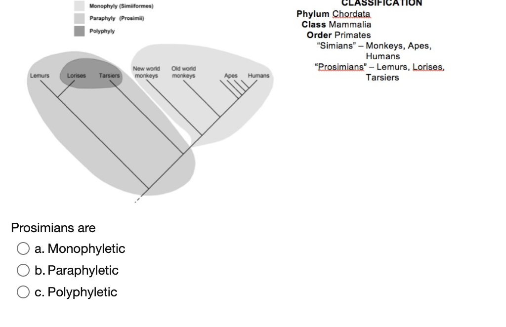 Solved Monophyly (Simiiformes) Paraphyly (Prosimii) | Chegg.com
