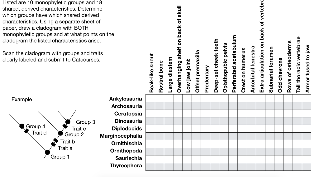 Listed are 10 monophyletic groups and 18 shared, | Chegg.com