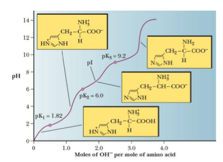 Solved Draw an example of a titration curve for Histidine, | Chegg.com