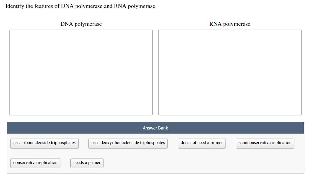 Solved Identify the features of DNA polymerase and RNA | Chegg.com