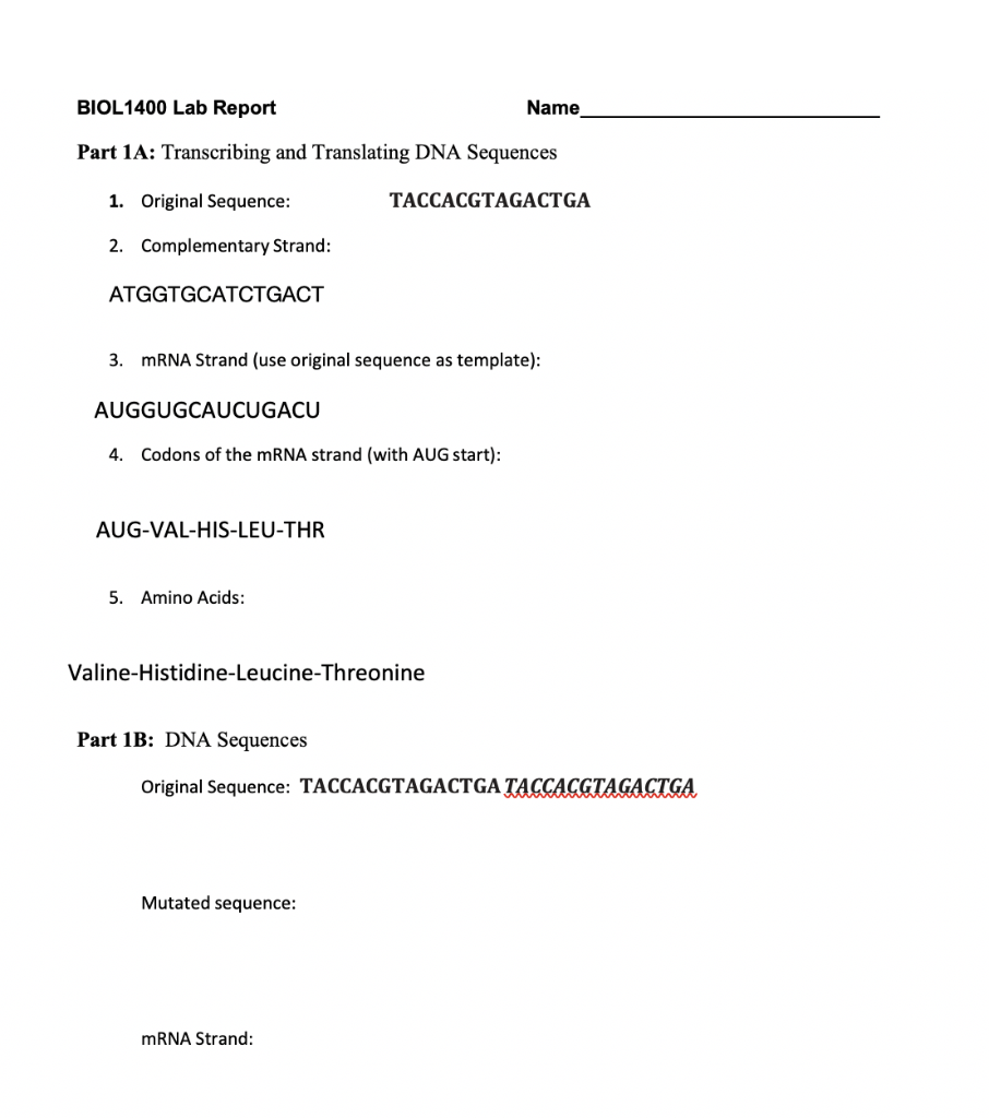 Solved BIOL1400 Lab Report Name Part 1A: Transcribing and | Chegg.com