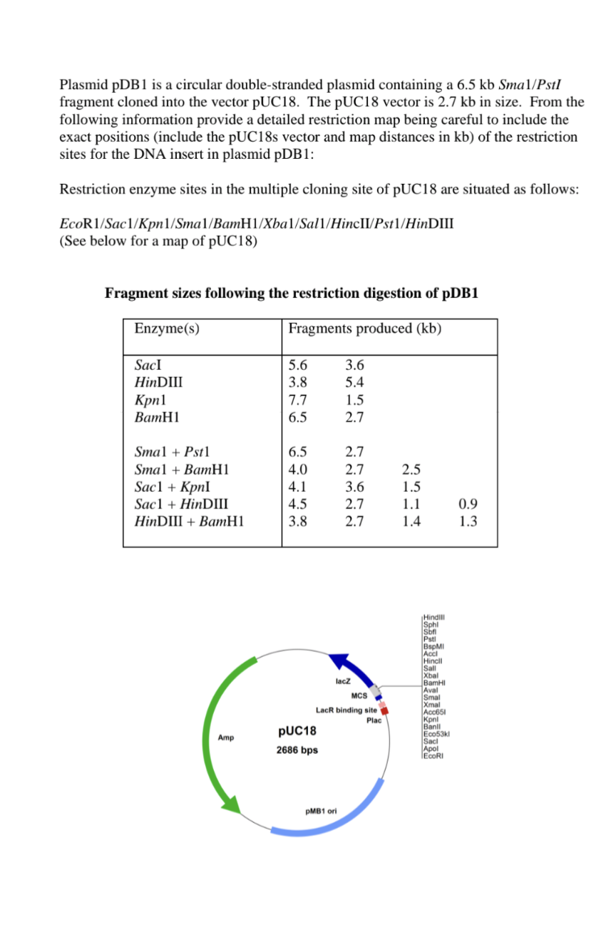 Solved Draw a restriction enzyme map from the data below. | Chegg.com