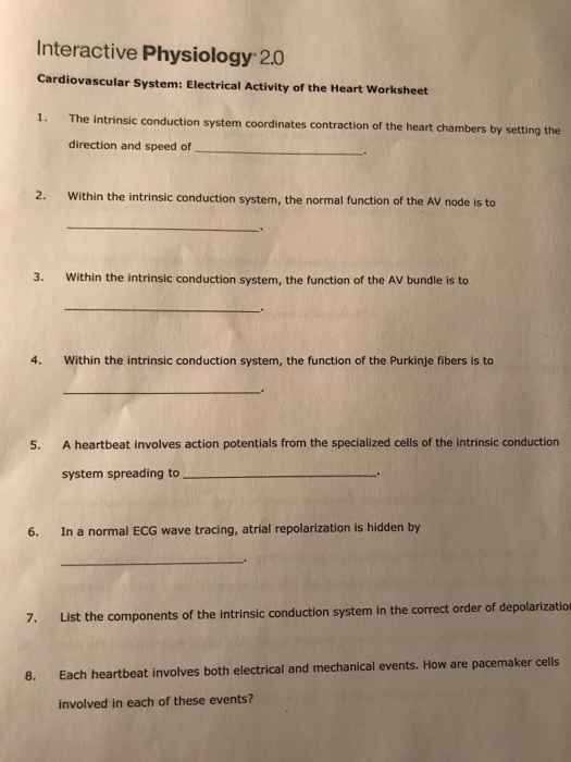 Solved Interactive Physiology 2 0 Cardiovascular System