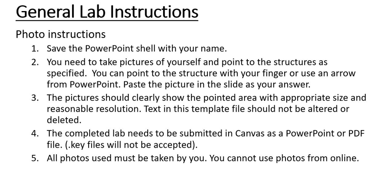 Solved General Lab Instructions Photo instructions 1. Save | Chegg.com