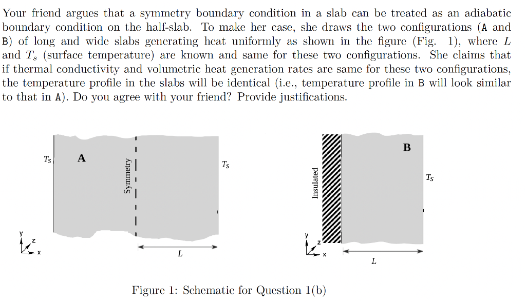 Your friend argues that a symmetry boundary condition | Chegg.com