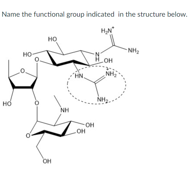 Solved Name the functional group indicated in the structure | Chegg.com