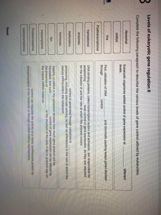 Solved Levels of eukaryotic gene regulation I Complete the | Chegg.com
