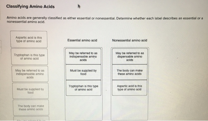 Solved Classifying Amino Acids Amino acids are generally | Chegg.com