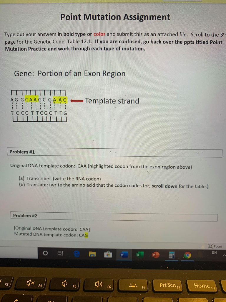 Solved Point Mutation Assignment Type out your answers in | Chegg.com