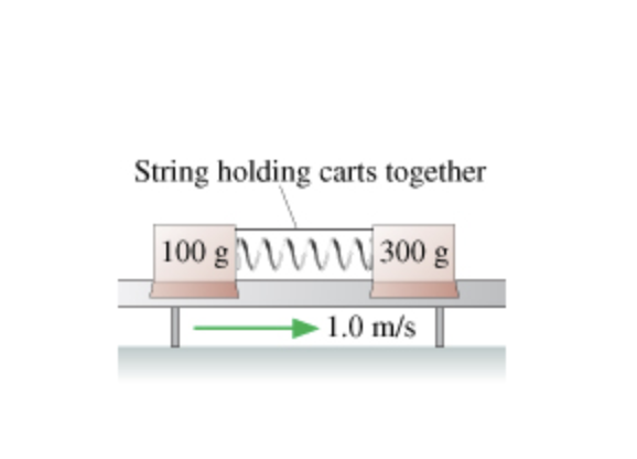 Solved String holding carts together 100 g WW 300 g 1.0 m/s | Chegg.com