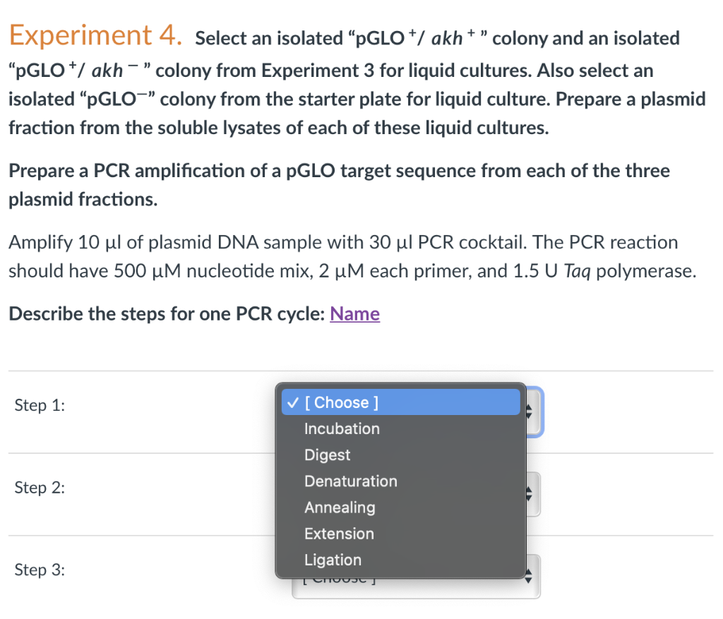 Solved Experiment 4. Select an isolated “pGLO+/ akh + » | Chegg.com