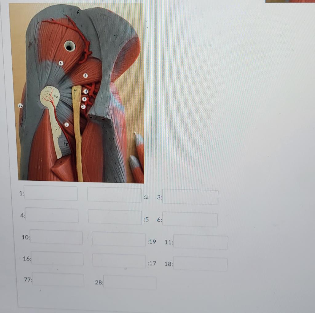 Solved 1: :23 : 4. :56 : 10 : :19 11: 16: :1718 77: 28 | Chegg.com