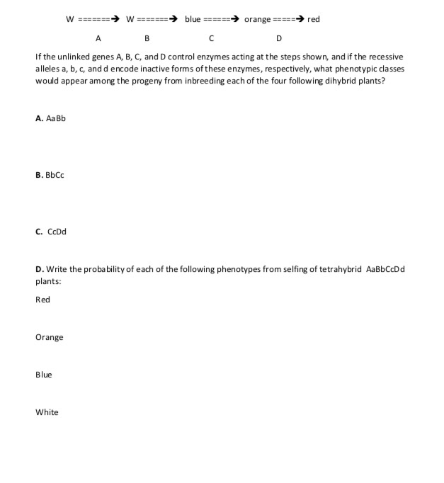Solved If the unlinked genes A, B, C, and D control enzymes | Chegg.com