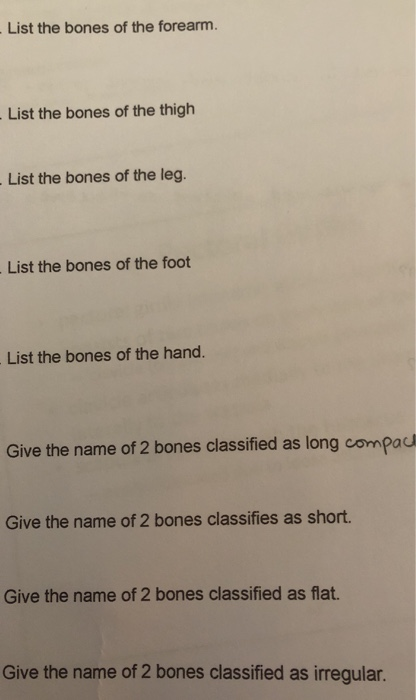 Solved - List the bones of the forearm. - List the bones of | Chegg.com