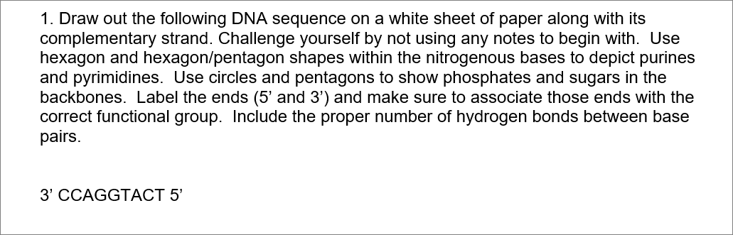 Solved 1. Draw out the following DNA sequence on a white | Chegg.com