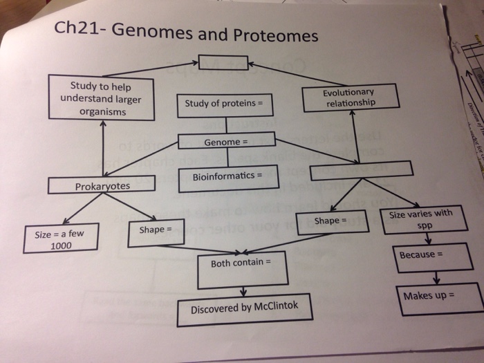 Solved Ch20 Concept Map For Gene Cloning Produces Genes Of 