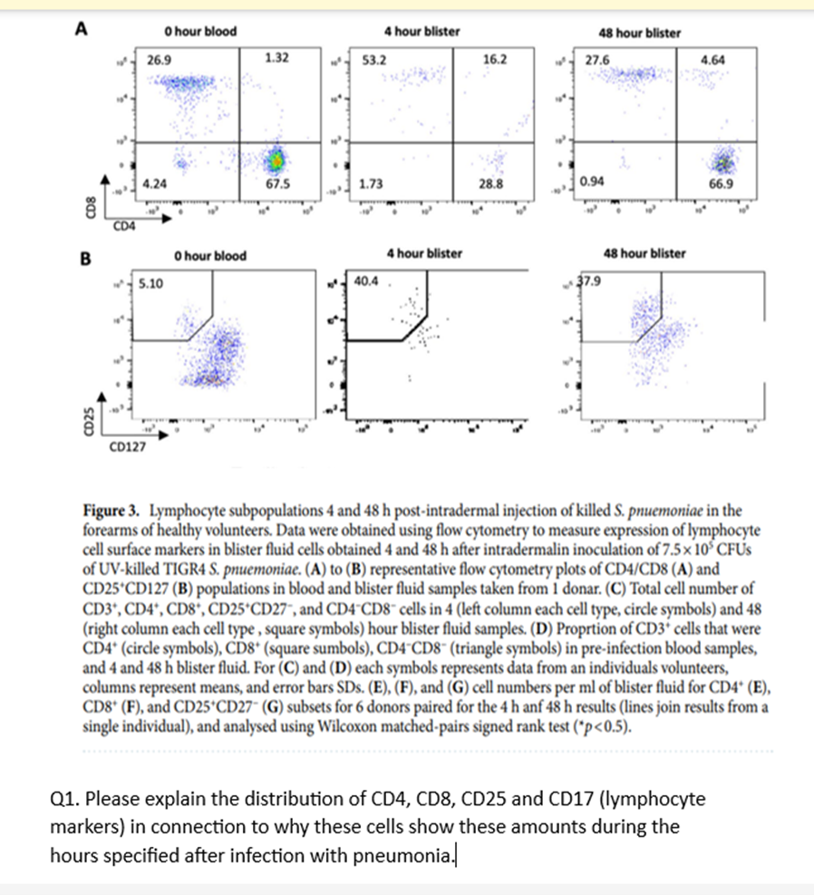 Solved Figure 3. Lymphocyte subpopulations 4 and 48 h | Chegg.com