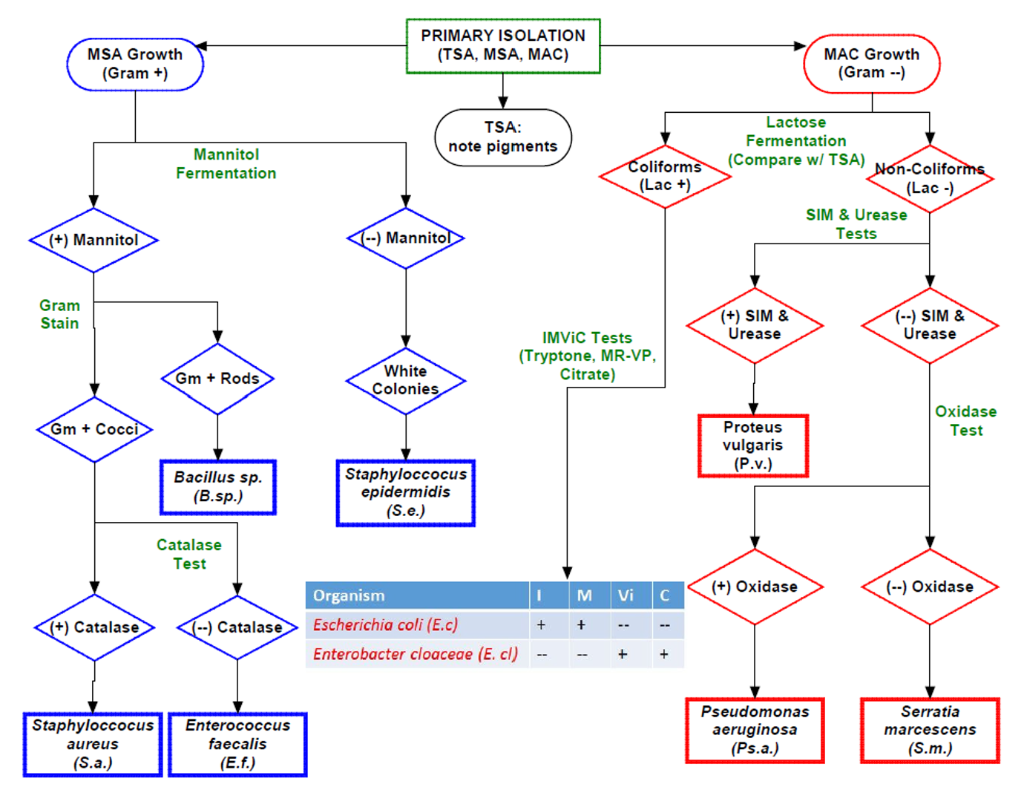Solved Paragraph. How did you get MSA growth positive and | Chegg.com