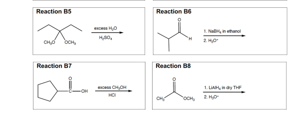 Solved Reaction B5 Reaction B6 excess H2O 1. NaBH, in | Chegg.com