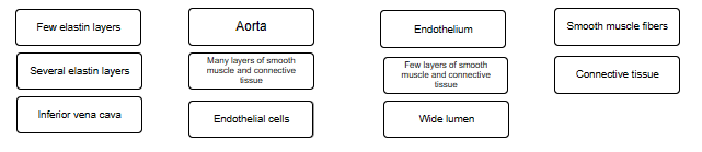 Solved Label this diagram using the following options | Chegg.com