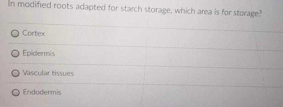 Solved In modified roots adapted for starch storage, which | Chegg.com